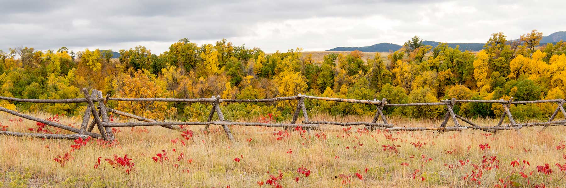 Contact Us | ELKHORN RIDGE RESORT