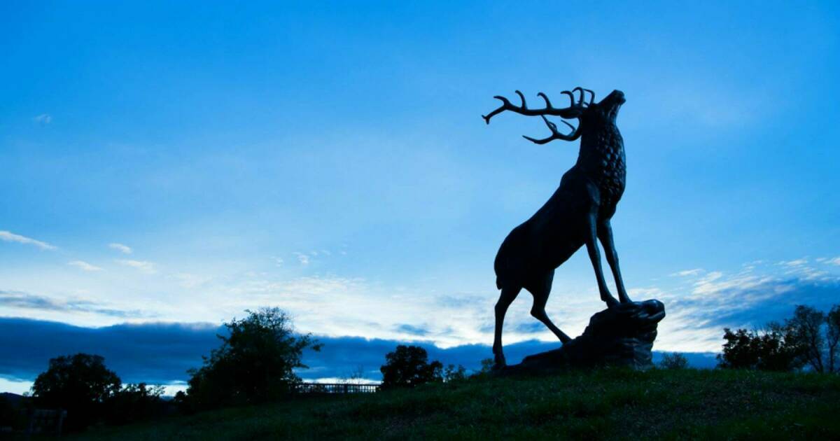 Resort Map & Amenities Camping in Spearfish | ELKHORN RIDGE RESORT